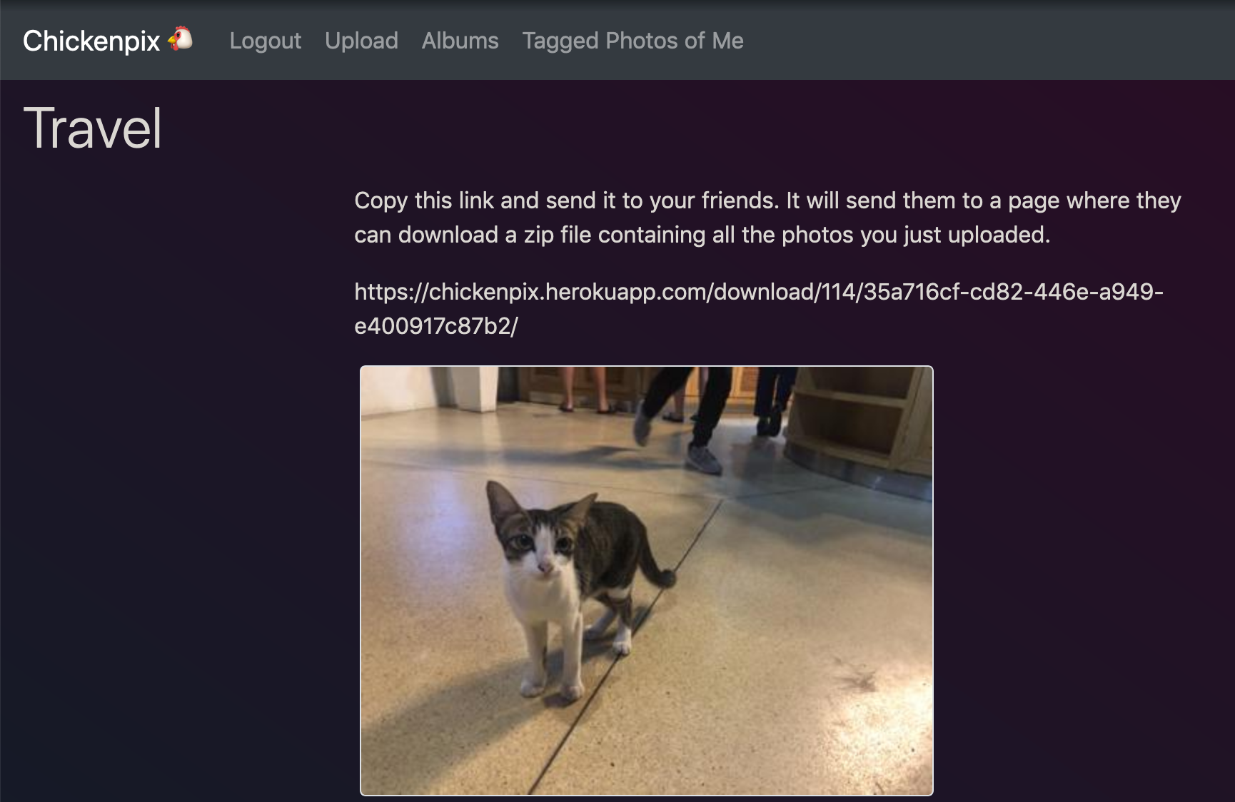 Allison Weiner, Software Engineer